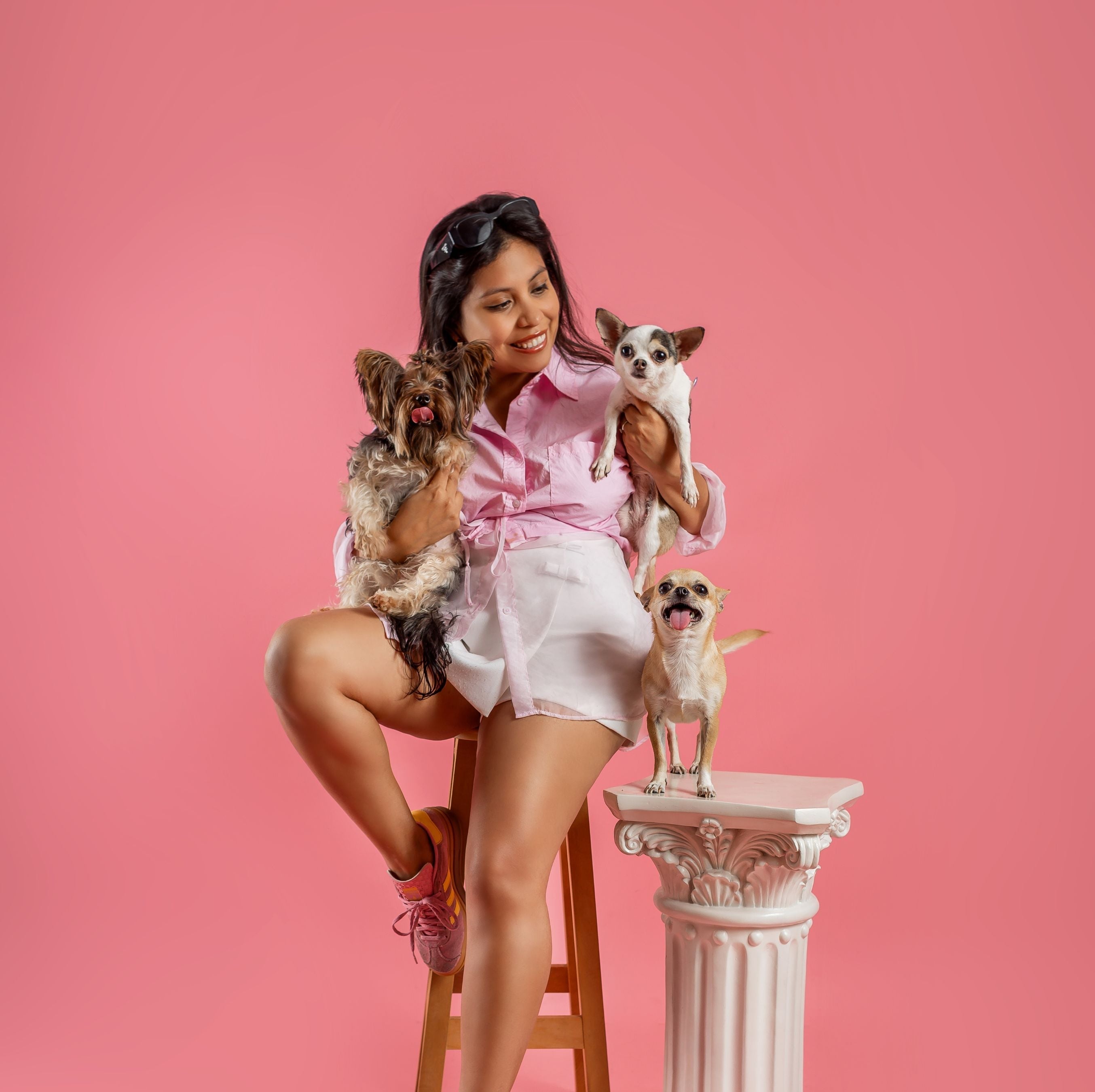 Bienvenidos Pinky Paws! – ZSA ZSA WORLD